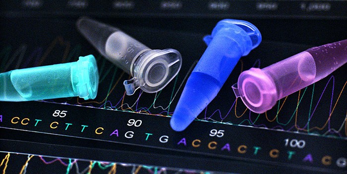 Analyse de l'ADN - Police Scientifique