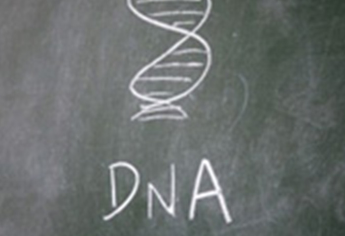 Identification ADN - Police scientifique