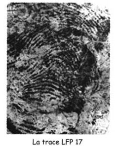 La fausse identification de Brandon Mayfield par le FBI - Police ...